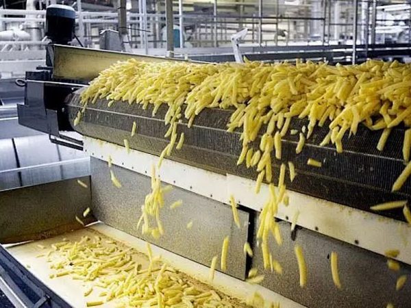 Cheese Processing & Packaging Line - UNIBANG