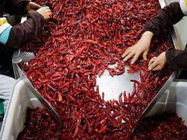 Chili Sauce Processing Line - UNIBANG