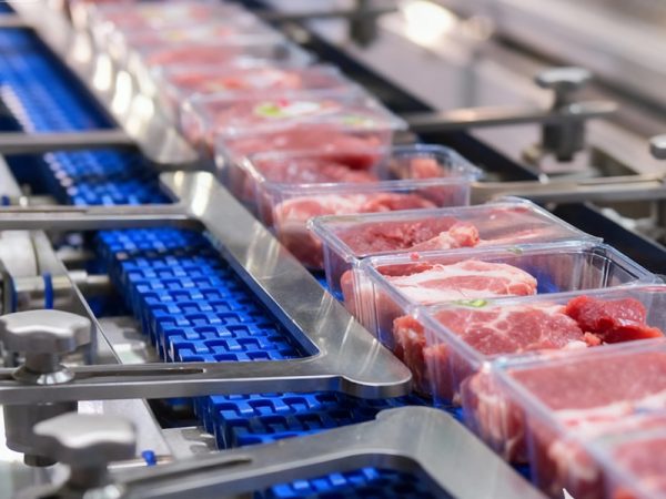 Flesh box filling & Packaging Line - UNIBANG