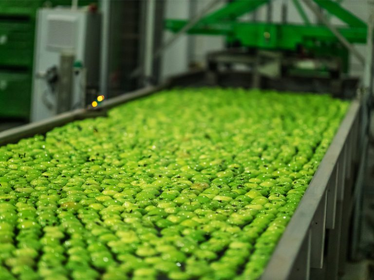 Fruit Vegetable Cleaning & Packaging Line - UNIBANG